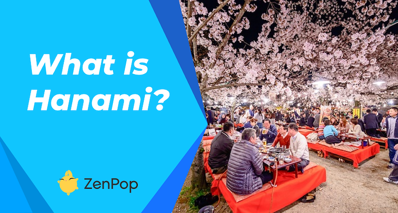 What is Hanami? (A complete guide)